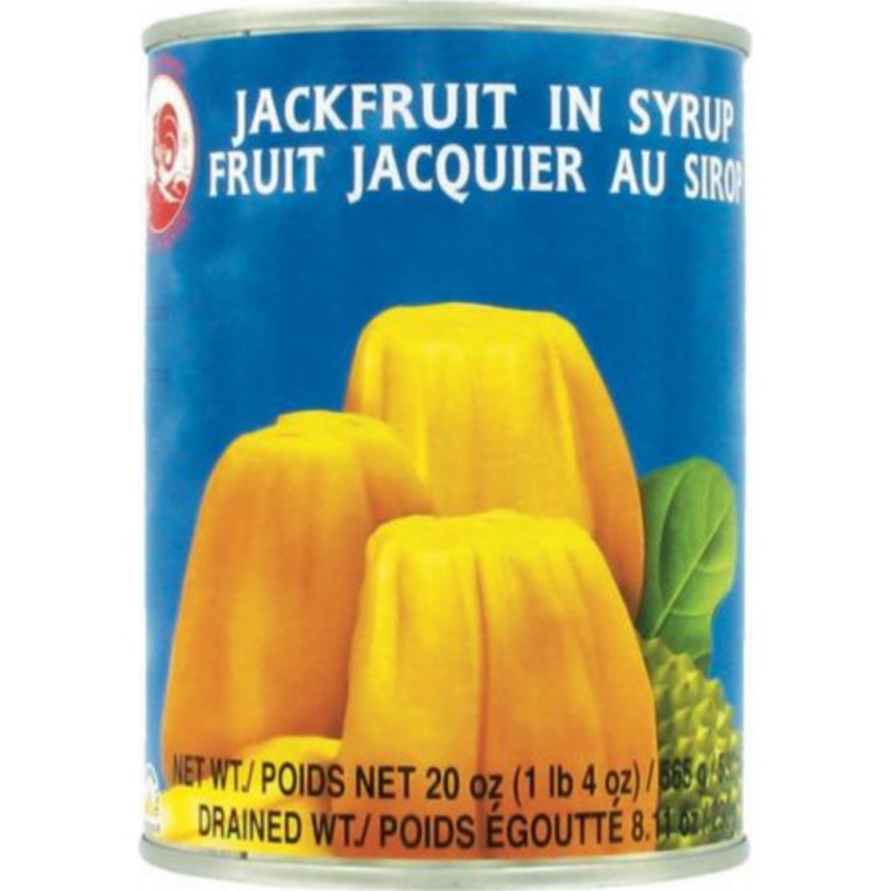 COQ Fruit De Jacquier Thaïlandais Au Sirop 865g - DIRECT ...